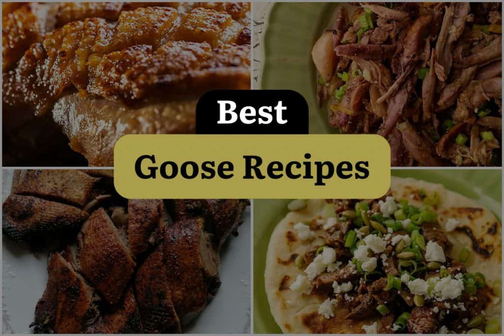 21 Goose Recipes That'll Have You Honking for Seconds! | DineWithDrinks