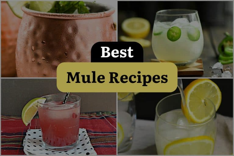 28 Mule Recipes: Mixing Up the Best for Your Tastebuds! | DineWithDrinks