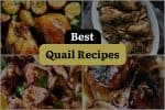 27 Quail Recipes That Will Make Your Taste Buds Take Flight ...