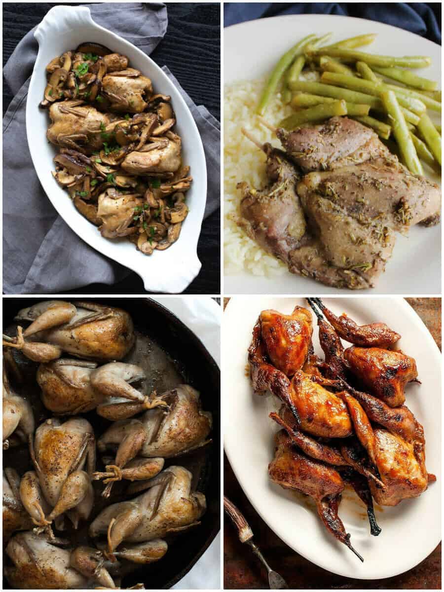 26 Quail Recipes That Will Make Your Taste Buds Take Flight!