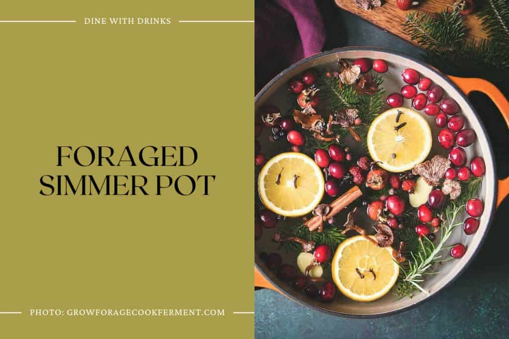 12 Simmer Pot Recipes to Delight Your Senses | DineWithDrinks