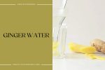 20 Flavored Water Recipes: Sip Your Way to Refreshment! | DineWithDrinks