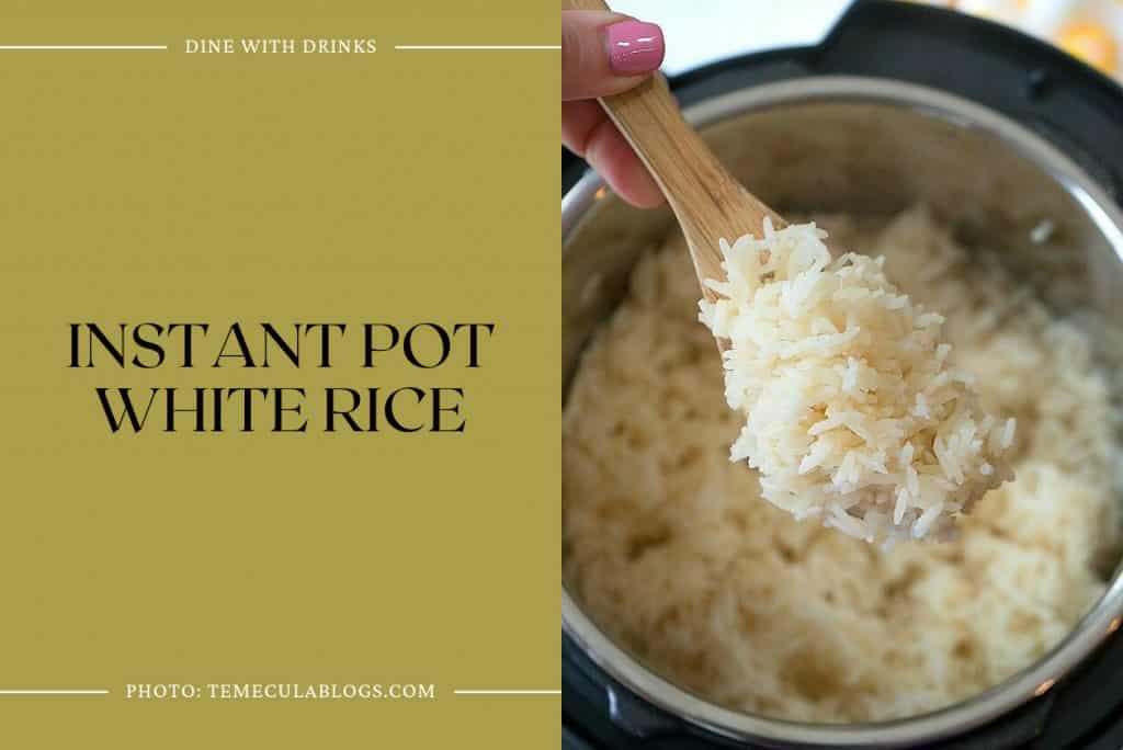 28 Instant Pot Rice Recipes: Elevate Your Mealtime Magic! | DineWithDrinks
