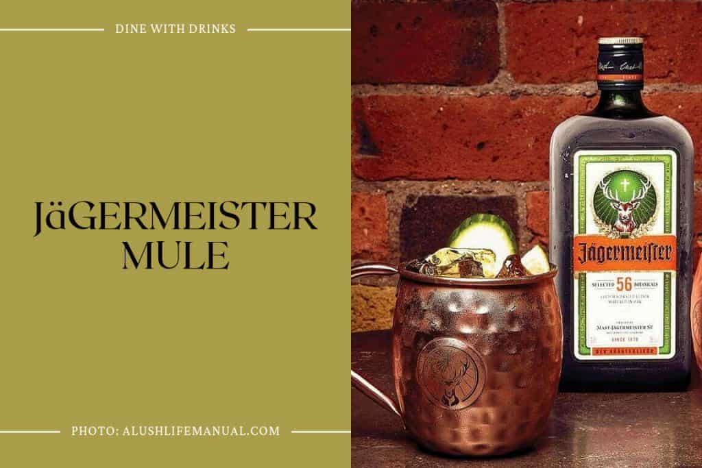 28 Mule Recipes: Mixing Up the Best for Your Tastebuds! | DineWithDrinks