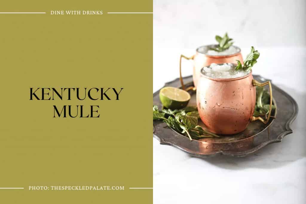 28 Mule Recipes: Mixing Up the Best for Your Tastebuds! | DineWithDrinks