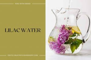 20 Flavored Water Recipes: Sip Your Way to Refreshment! | DineWithDrinks
