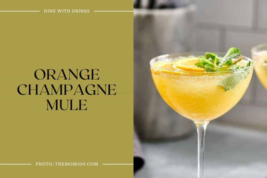 28 Mule Recipes: Mixing Up the Best for Your Tastebuds! | DineWithDrinks