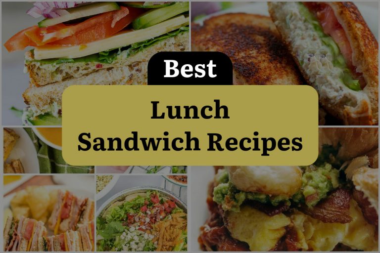 11 Lunch Sandwich Recipes to Satisfy Your Cravings! | DineWithDrinks