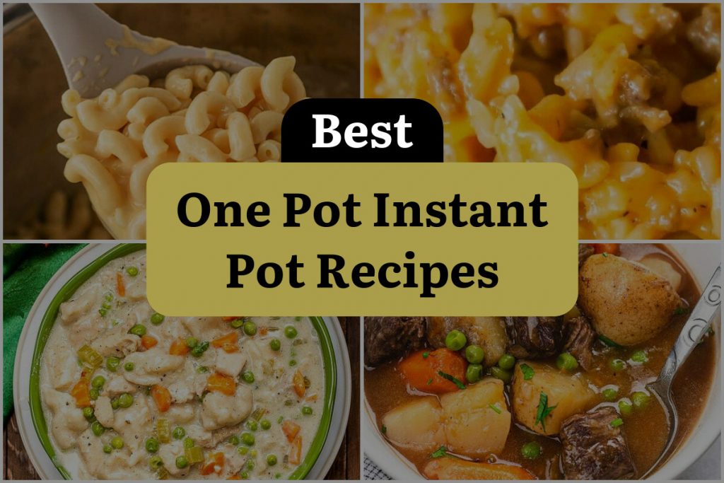 23 One Pot Instant Pot Recipes That Make Cooking a Breeze! | DineWithDrinks
