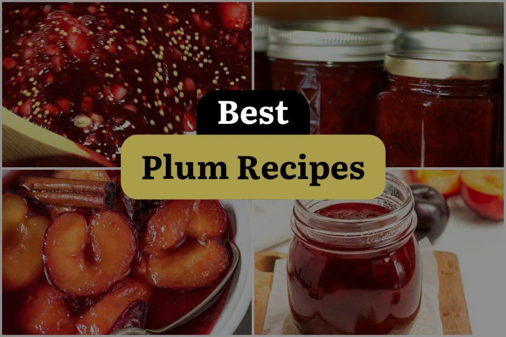 18 Plum Recipes: A Delicious Burst of Plum-spiration! | DineWithDrinks