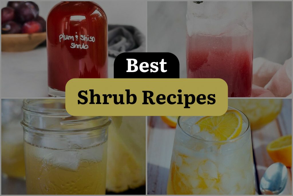 34 Shrub Recipes to Shake Up Your Taste Buds! | DineWithDrinks