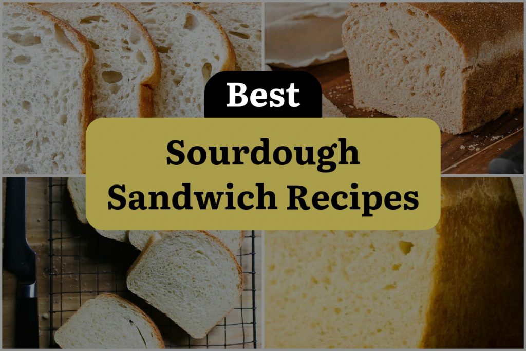 16 Sourdough Sandwich Recipes to Satisfy Your Cravings! | DineWithDrinks
