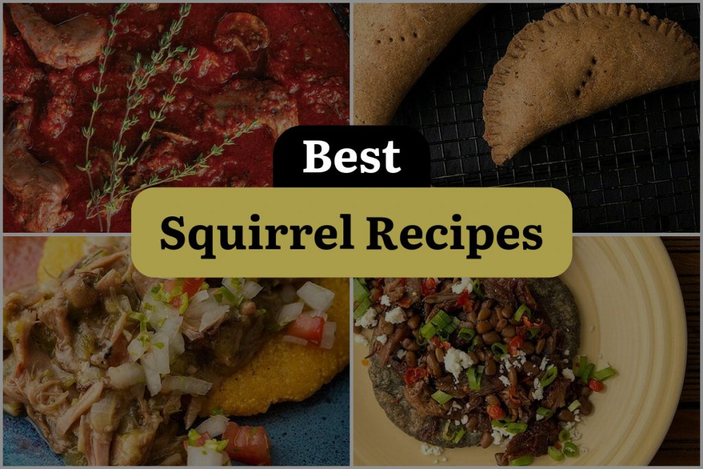 10 Squirrel Recipes that Will Make Your Taste Buds Go Nuts ...