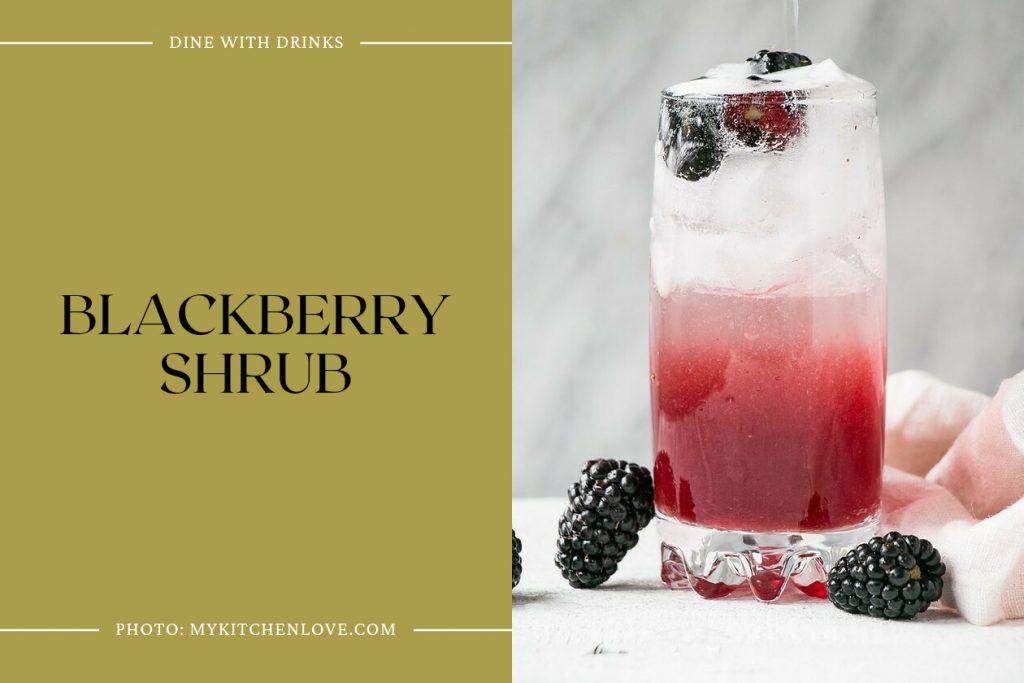 34 Shrub Recipes to Shake Up Your Taste Buds! | DineWithDrinks