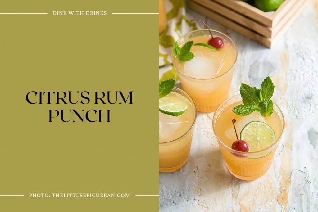 15 Rum Punch Recipes That Will Punch Up Your Party! | DineWithDrinks