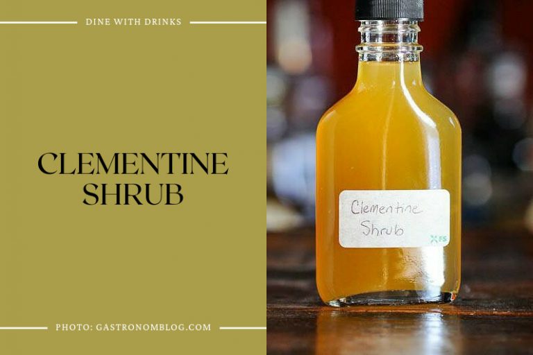 34 Shrub Recipes to Shake Up Your Taste Buds! | DineWithDrinks