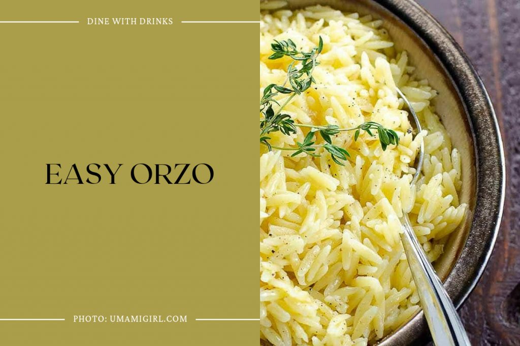 24 Orzo Recipes That Will Make Your Taste Buds Dance! | DineWithDrinks