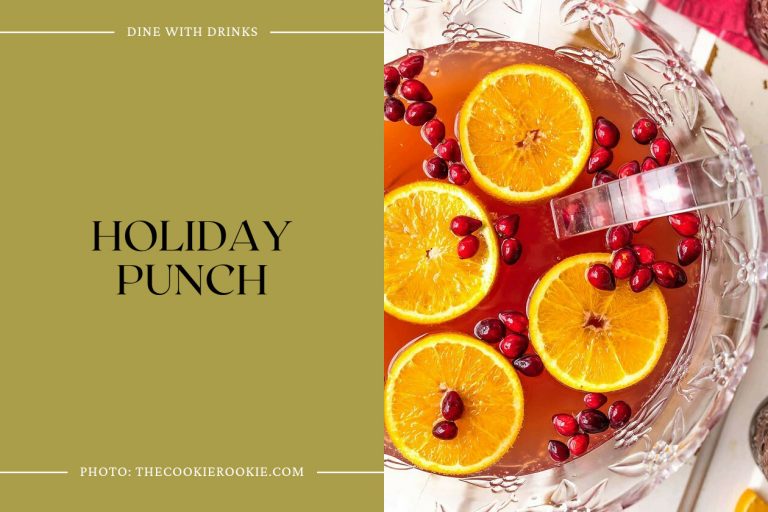26 Vodka Punch Recipes That Will Make Your Party Pop! | DineWithDrinks