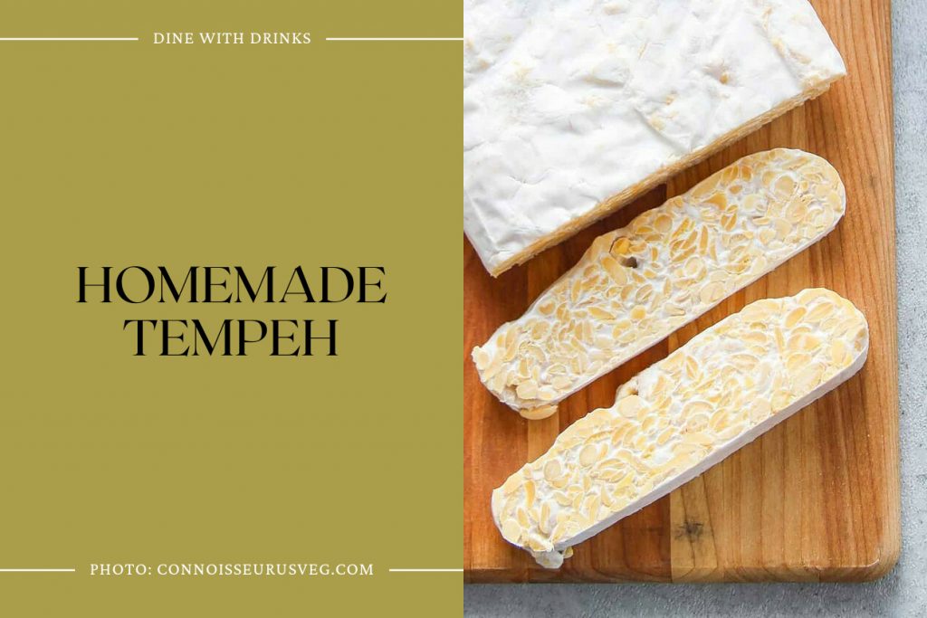 43 Tempeh Recipes That Will Make Your Taste Buds Dance! | DineWithDrinks