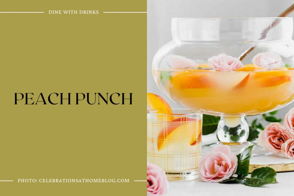 26 Vodka Punch Recipes That Will Make Your Party Pop! | DineWithDrinks