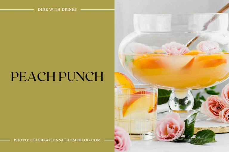 26 Vodka Punch Recipes That Will Make Your Party Pop! | DineWithDrinks