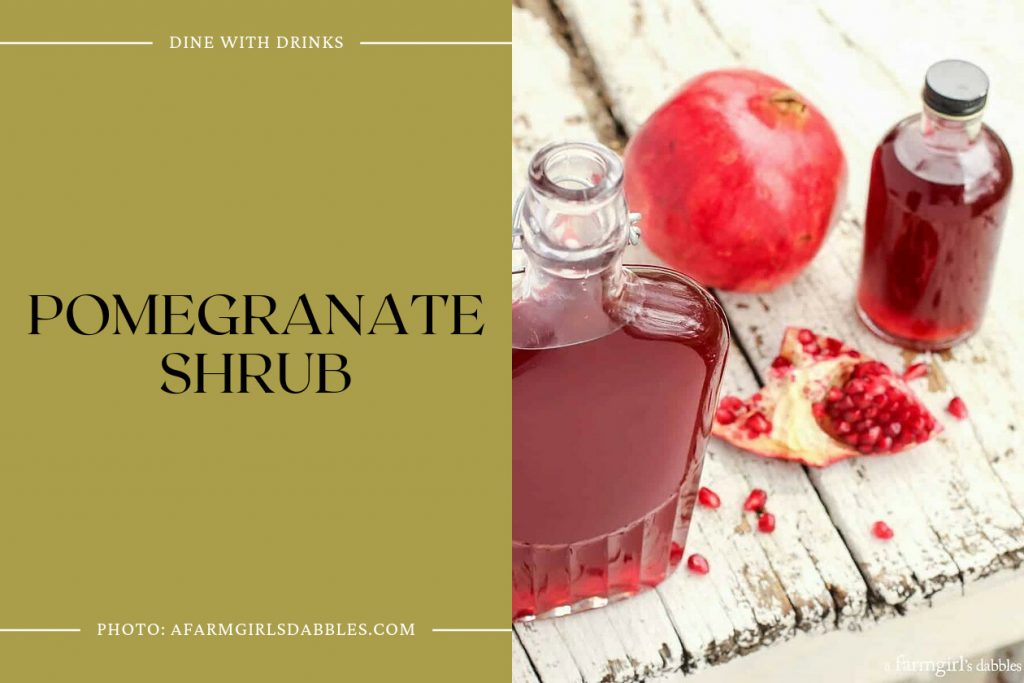34 Shrub Recipes to Shake Up Your Taste Buds! | DineWithDrinks