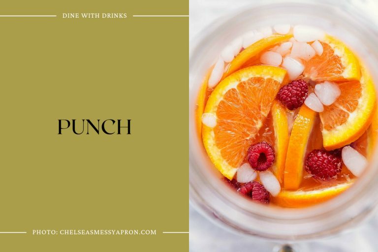 26 Vodka Punch Recipes That Will Make Your Party Pop! | DineWithDrinks