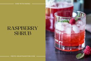 34 Shrub Recipes to Shake Up Your Taste Buds! | DineWithDrinks