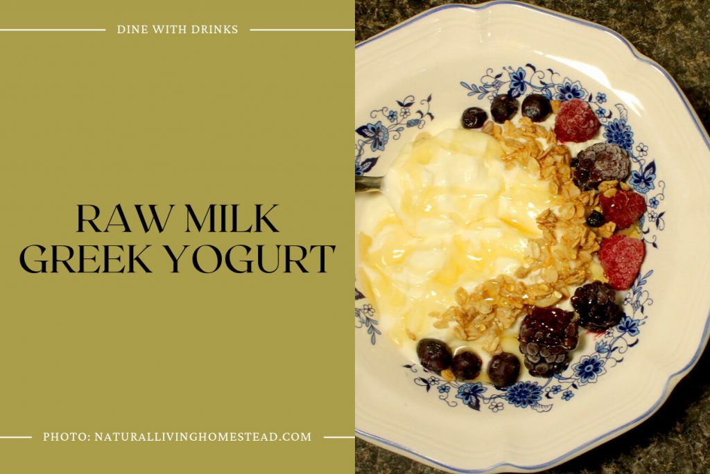 38 Greek Yogurt Recipes: Unleash the Creamy Deliciousness | DineWithDrinks