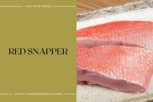 12 Red Snapper Fillet Recipes That Are Off the Hook! | DineWithDrinks