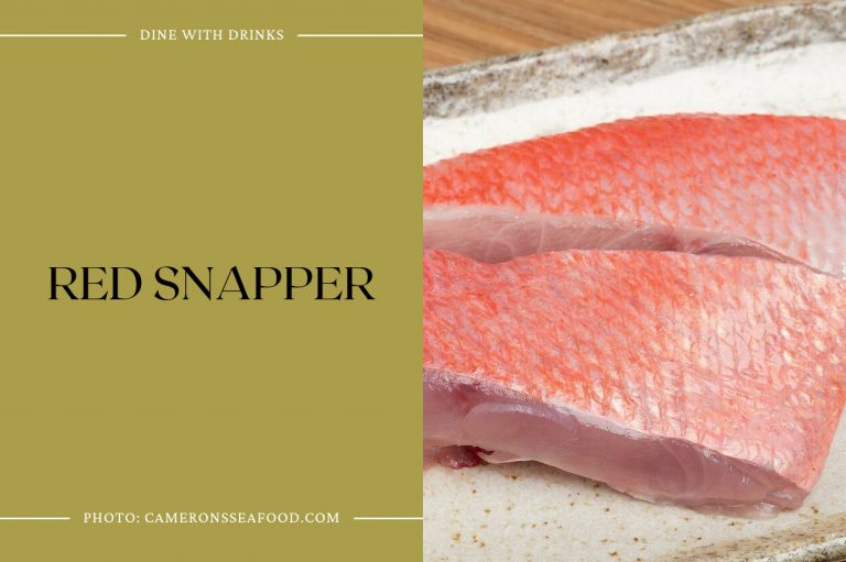 12 Red Snapper Fillet Recipes That Are Off the Hook! | DineWithDrinks
