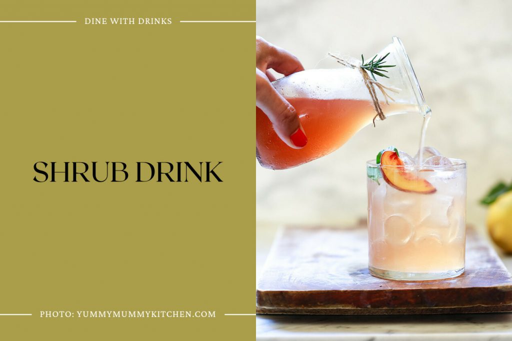 34 Shrub Recipes to Shake Up Your Taste Buds! | DineWithDrinks