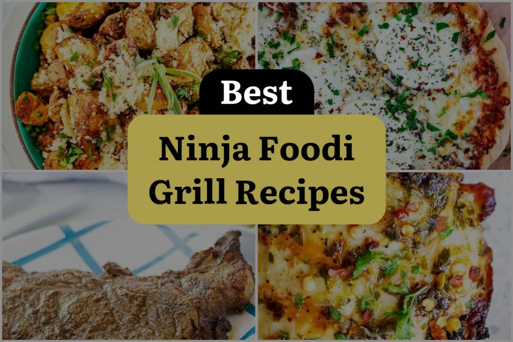 26 Ninja Foodi Grill Recipes: Unleash Your Culinary Stealth ...