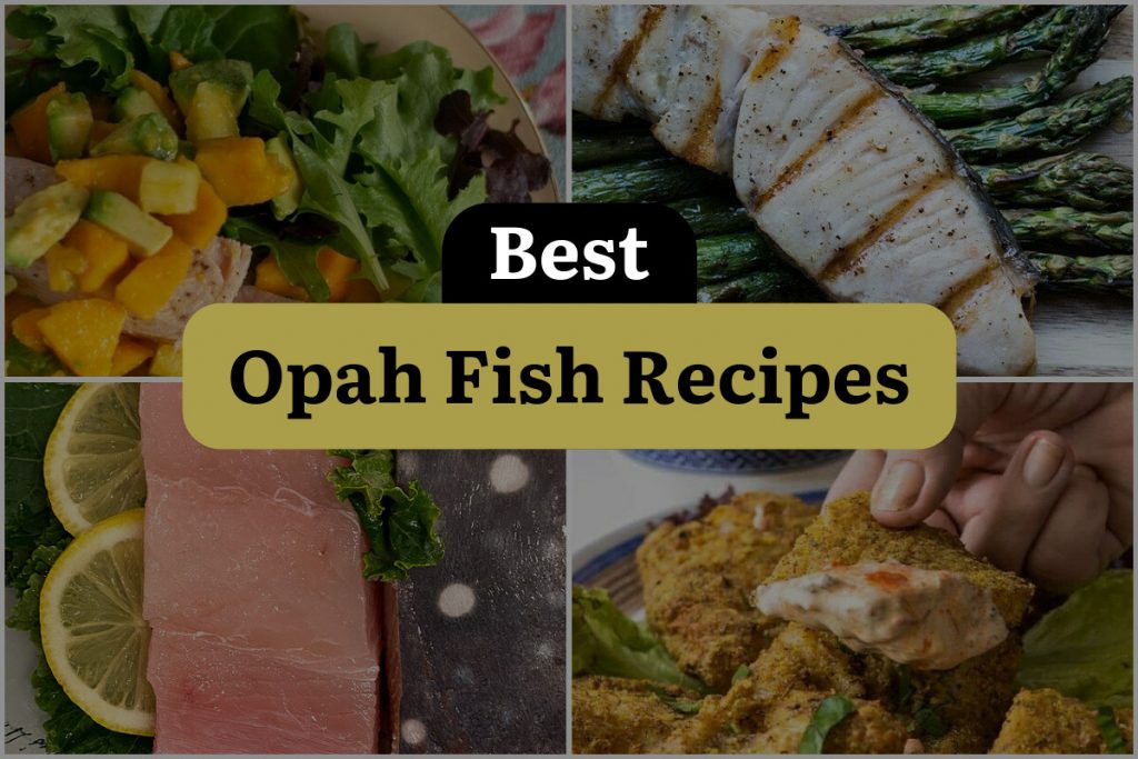8 Opah Fish Recipes to Make a Splash in Your Kitchen! | DineWithDrinks