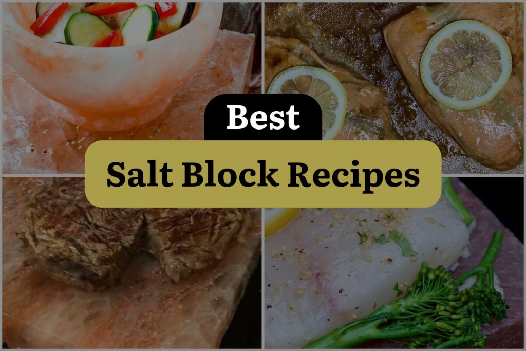9 Salt Block Recipes That Will Rock Your Taste Buds! | DineWithDrinks