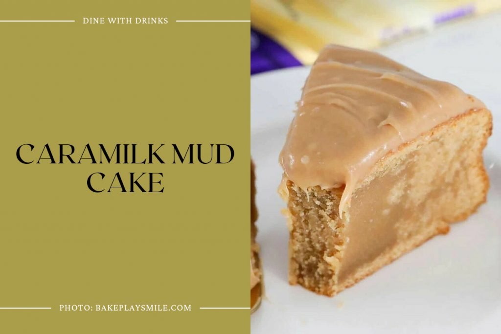 17 Mud Cake Recipes That Will Melt Your Taste Buds | DineWithDrinks
