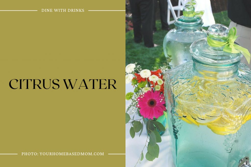 22 Lemon Water Recipes: Sip, Squeeze, and Refresh | DineWithDrinks