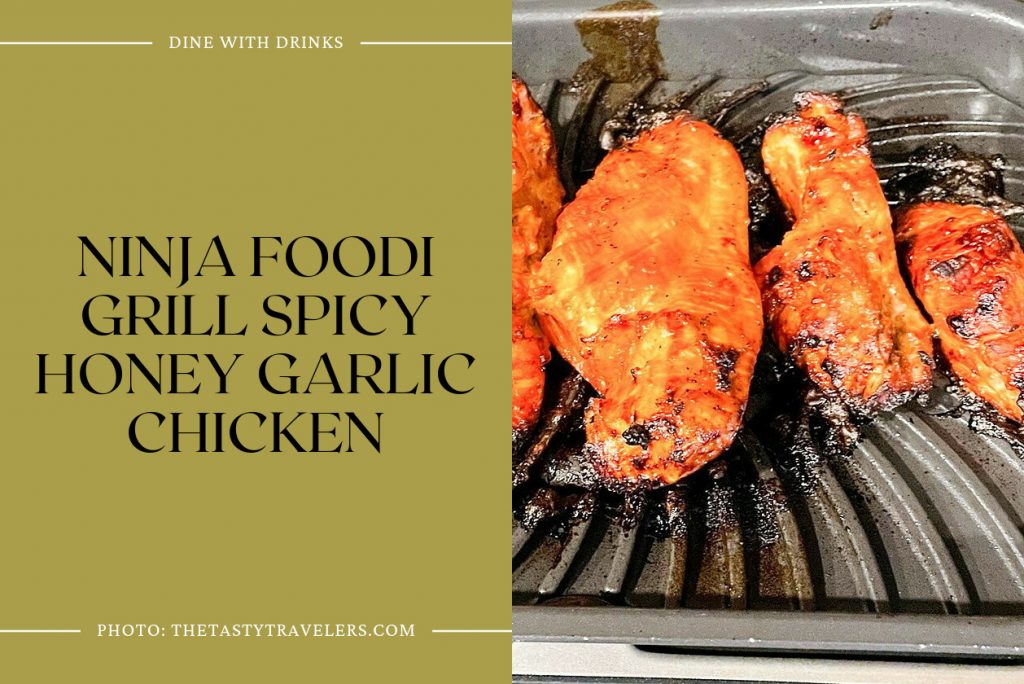 26 Ninja Foodi Grill Recipes: Unleash Your Culinary Stealth ...