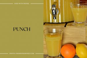 18 Spiked Punch Recipes to Turn Up the Party! | DineWithDrinks
