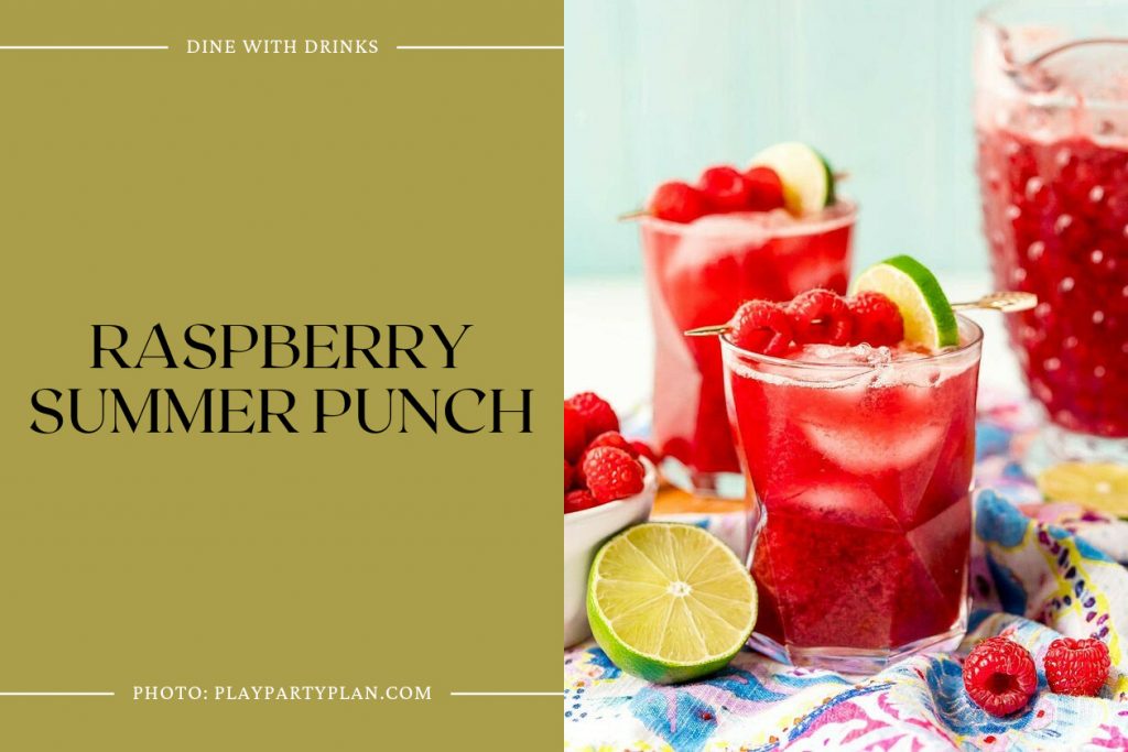 16 Summer Punch Recipes to Sip, Savor, and Beat the Heat! | DineWithDrinks
