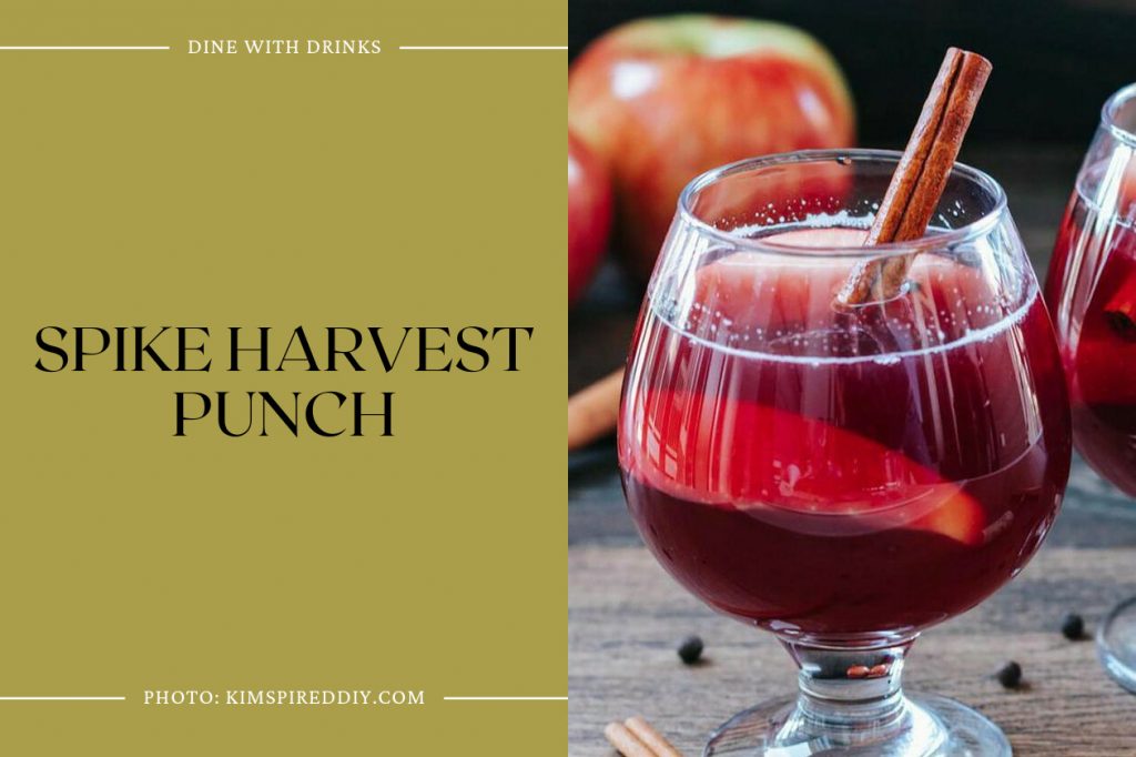 18 Spiked Punch Recipes to Turn Up the Party! | DineWithDrinks