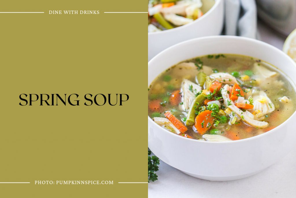 27 Spring Soup Recipes that Will Bowl You Over! | DineWithDrinks