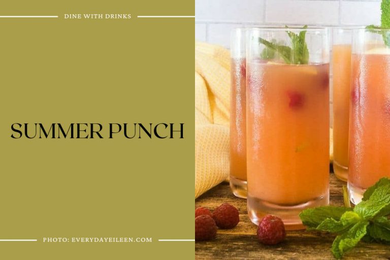 16 Summer Punch Recipes to Sip, Savor, and Beat the Heat! | DineWithDrinks